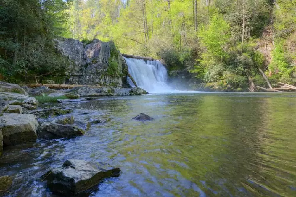 4 Things to Do in the Great Smoky Mountains in July